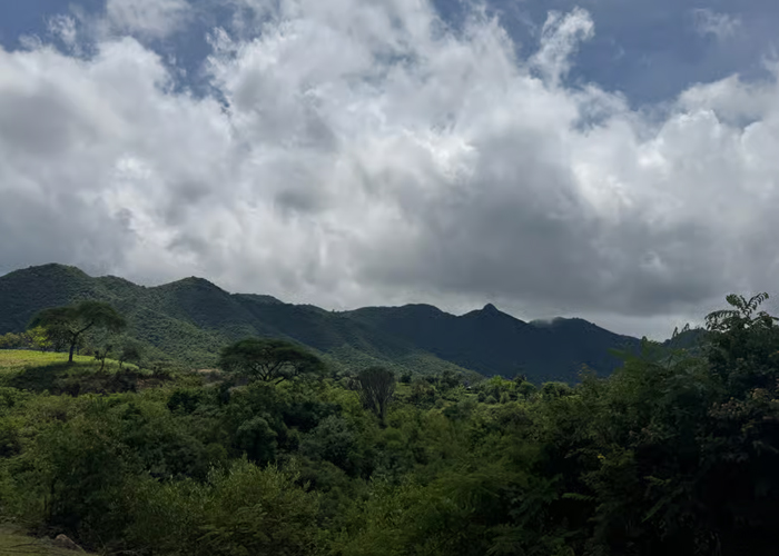 Day Trip to Suba National Forest – Trails of Ethiopia